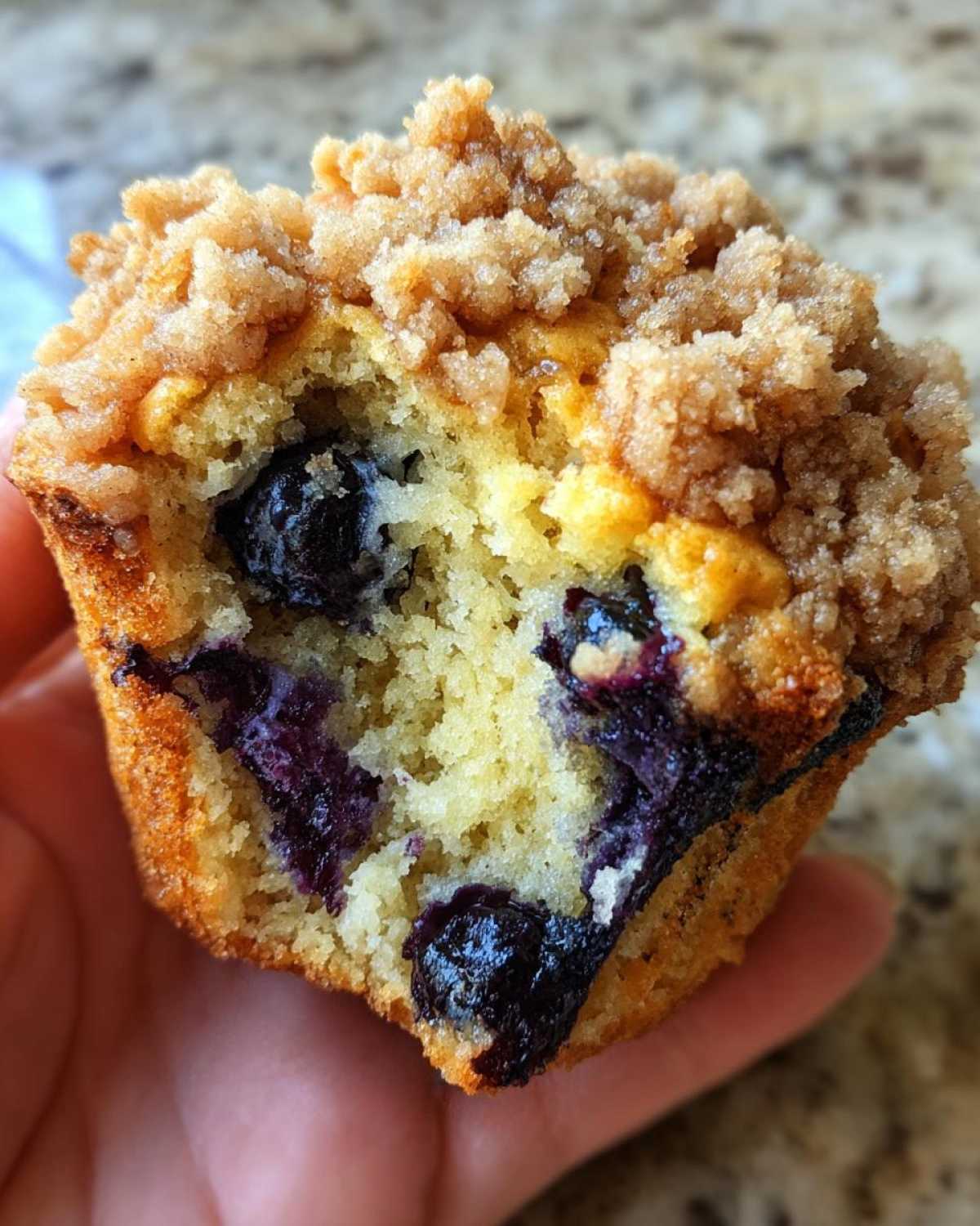 Irresistible Blueberry Streusel Muffins: 1 Amazing Recipe - Forkful Heaven