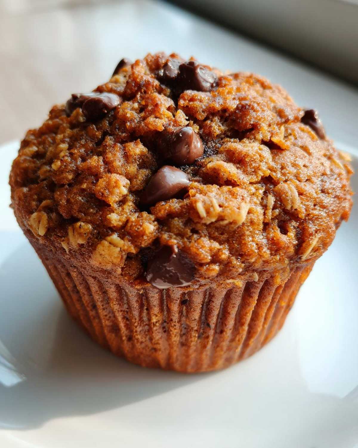 Melt-in-your-mouth 12 Oatmeal Chocolate Chip Muffins - Forkful Heaven